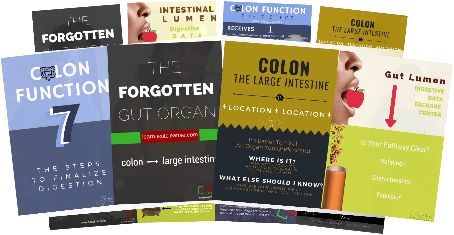 Colon-Gut Visual Aids